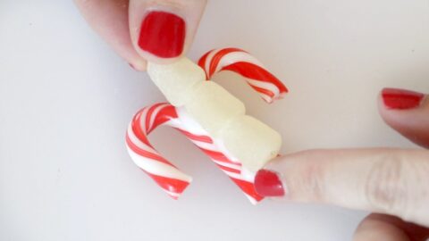 Graham Cracker Nativity Scene for Kids To Make! (Video)