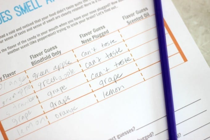 Does Smell Affect Taste? A Tasty Experiment - Gluesticks Blog