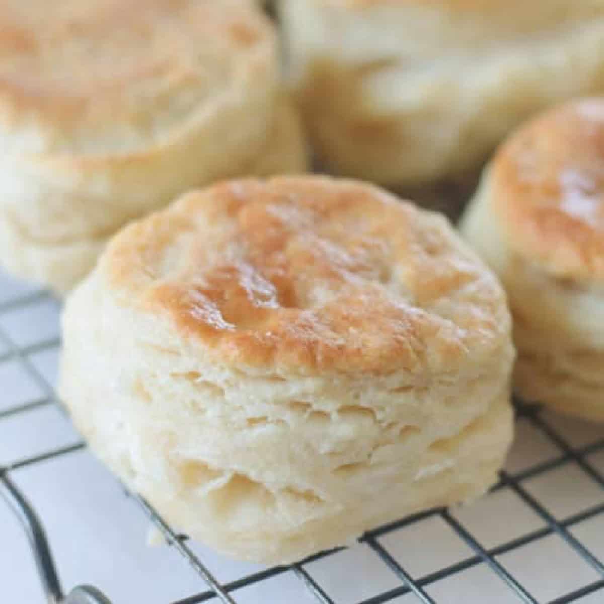 Homemade 3-Ingredient Biscuits Recipe - Gluesticks Blog