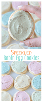 Speckled Robin Egg Sugar Cookies (Video) - Gluesticks Blog