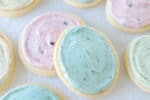 Speckled Robin Egg Sugar Cookies - Gluesticks Blog