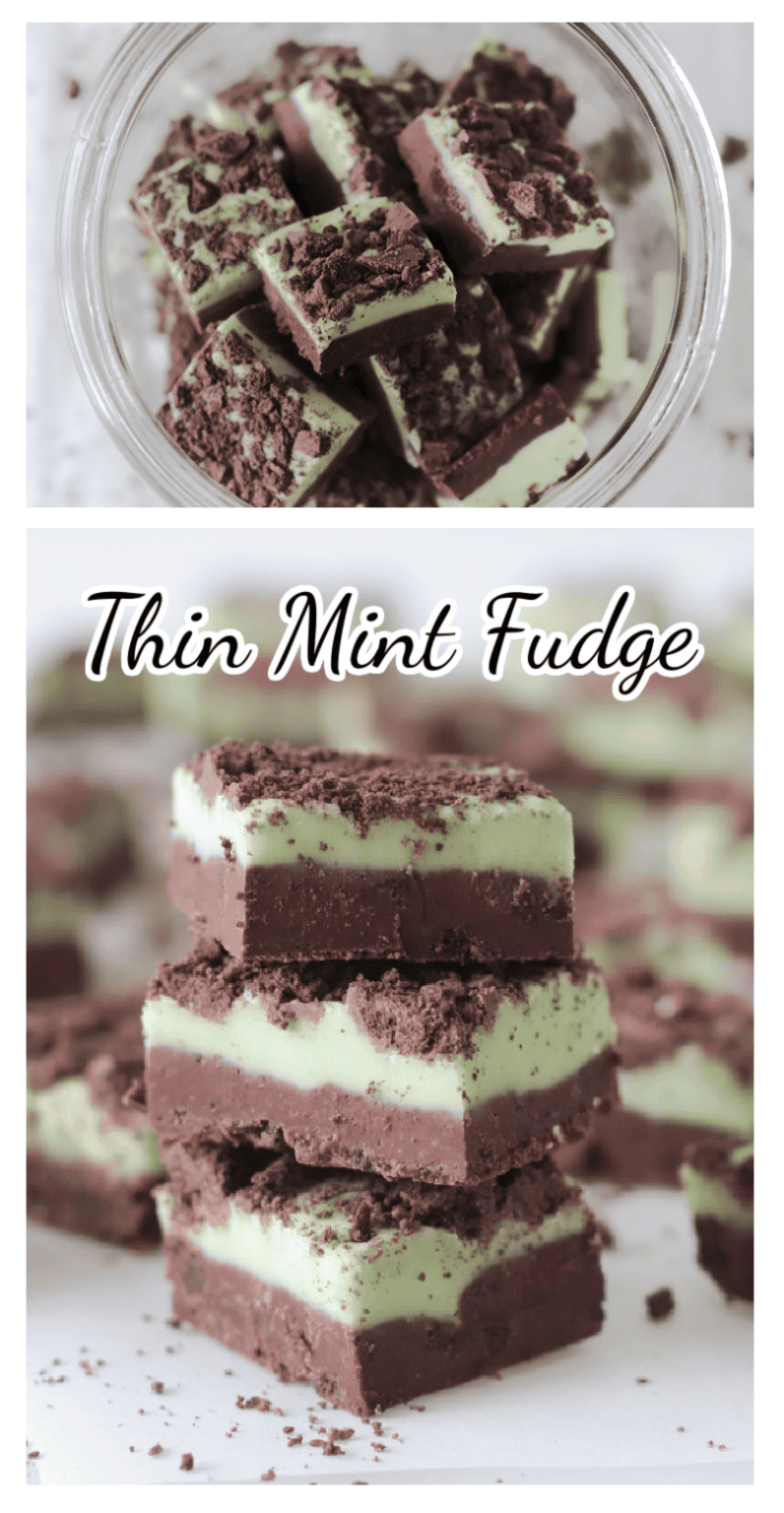 Easy Thin Mint Fudge (Video) - Gluesticks Blog