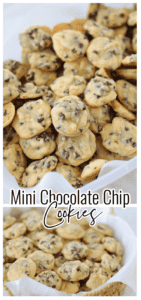 Mini Chocolate Chip Cookies (+ Video) Itty Bitty! - Gluesticks Blog