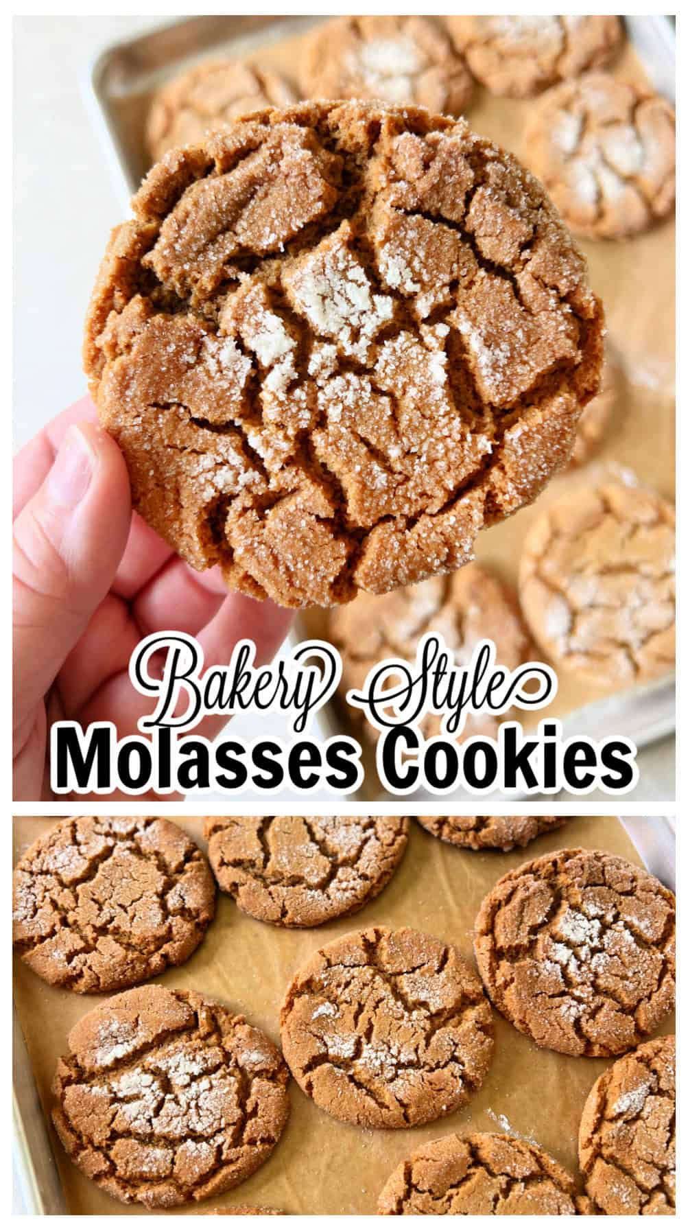Bakery Style Molasses Cookies Recipe