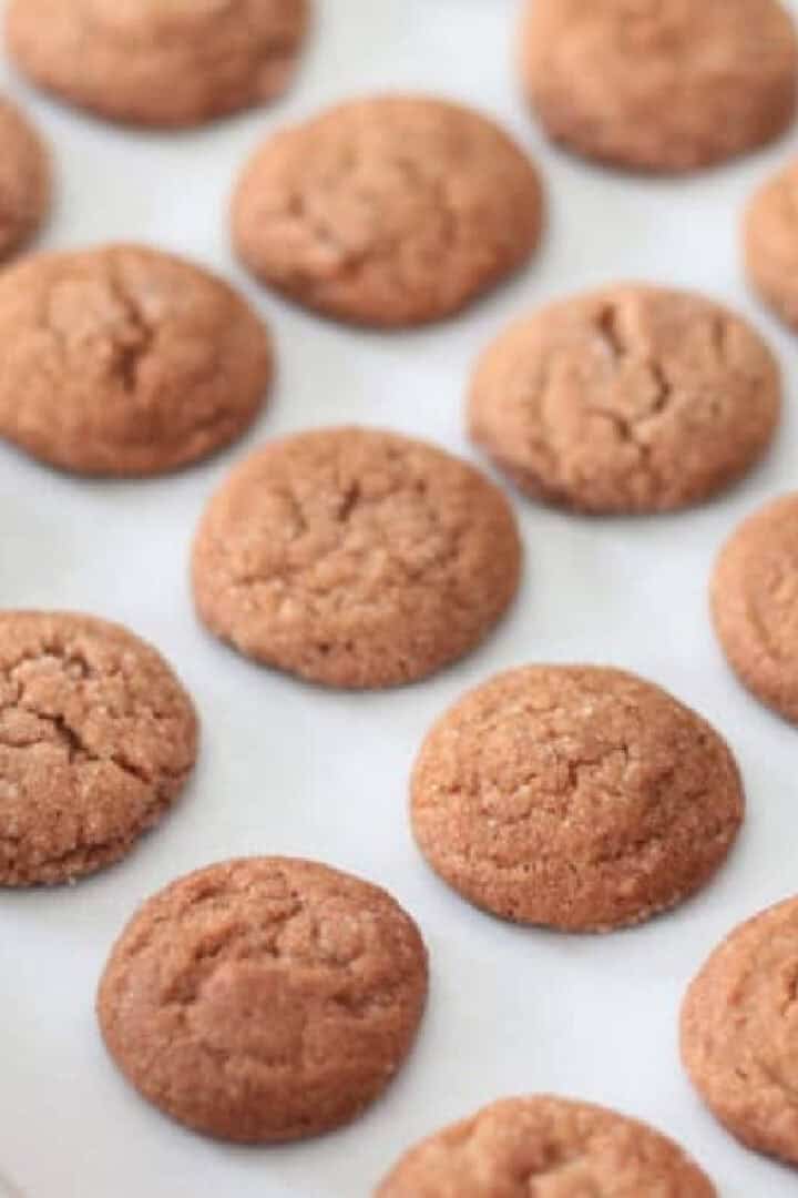 Old Fashioned Iced Gingerbread Man Cookies - Gluesticks Blog
