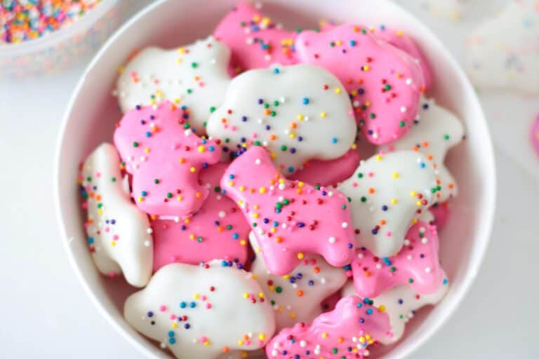 Homemade Circus Animal Cookies Recipe - Gluesticks Blog