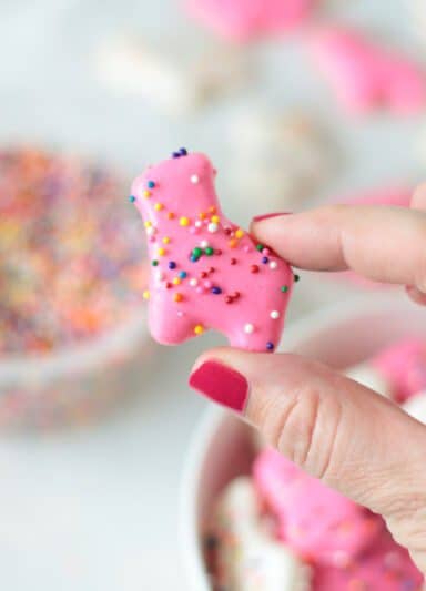 Homemade Circus Animal Cookies Recipe - Gluesticks Blog