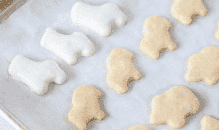 Homemade Circus Animal Cookies Recipe - Gluesticks Blog