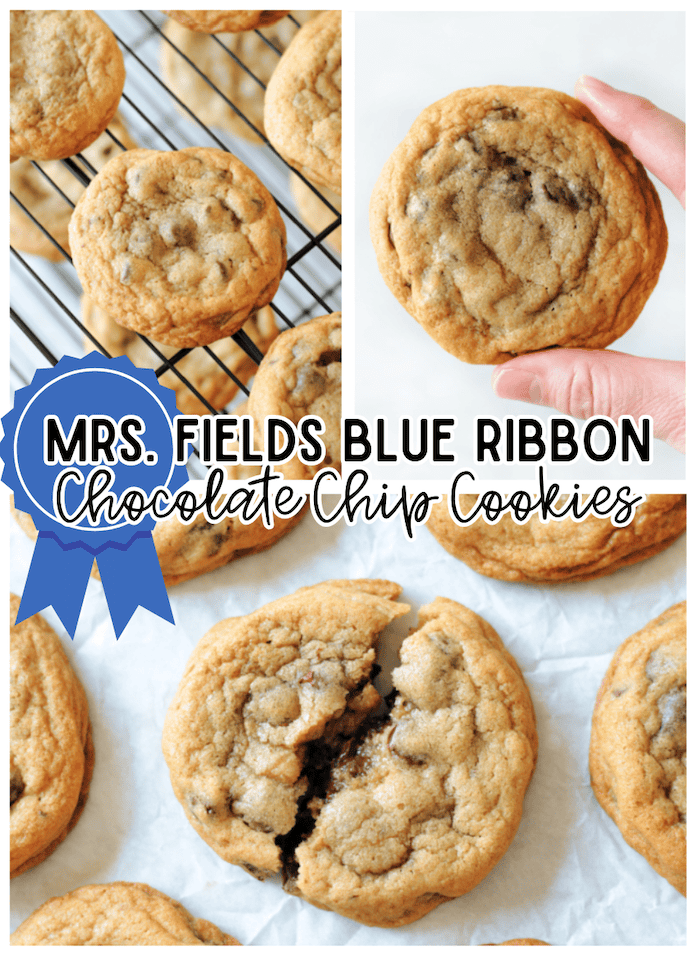 Mrs. Fields Blue Ribbon Chocolate Chip Cookies - Gluesticks Blog