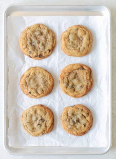 Mrs. Fields Blue Ribbon Chocolate Chip Cookies - Gluesticks Blog