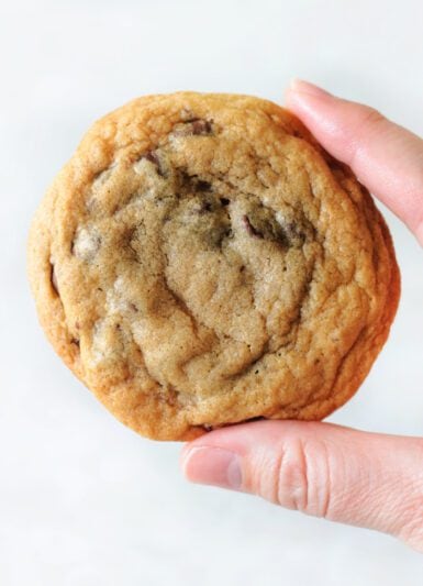 Mrs. Fields Blue Ribbon Chocolate Chip Cookies - Gluesticks Blog