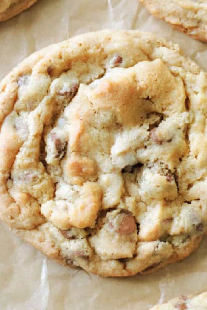 Martha-Stewart-Fired-Me Cookies - Gluesticks Blog