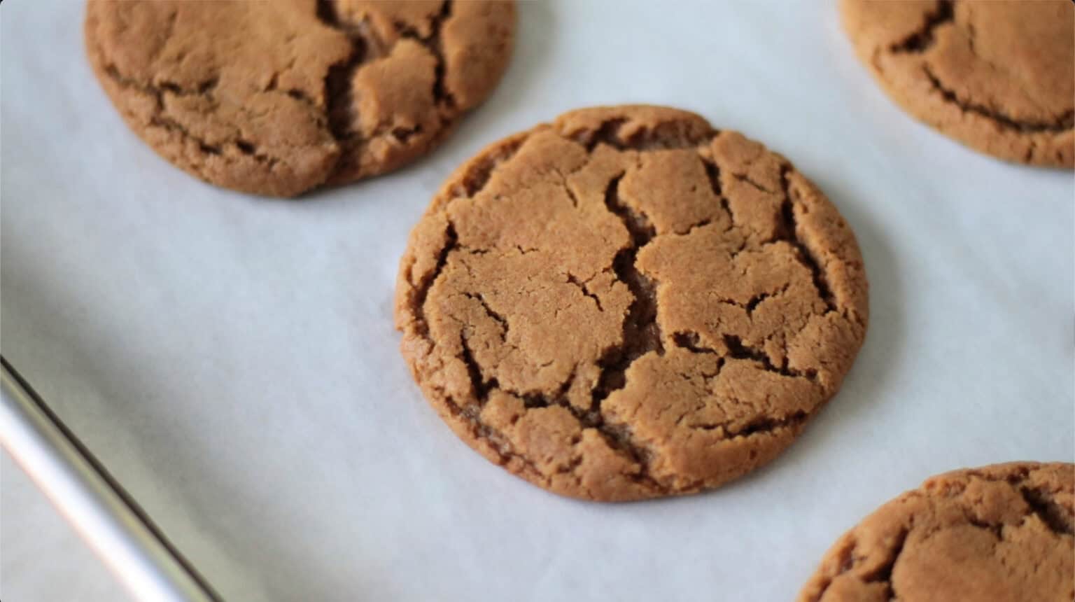 Iced Molasses Cookies - Gluesticks Blog