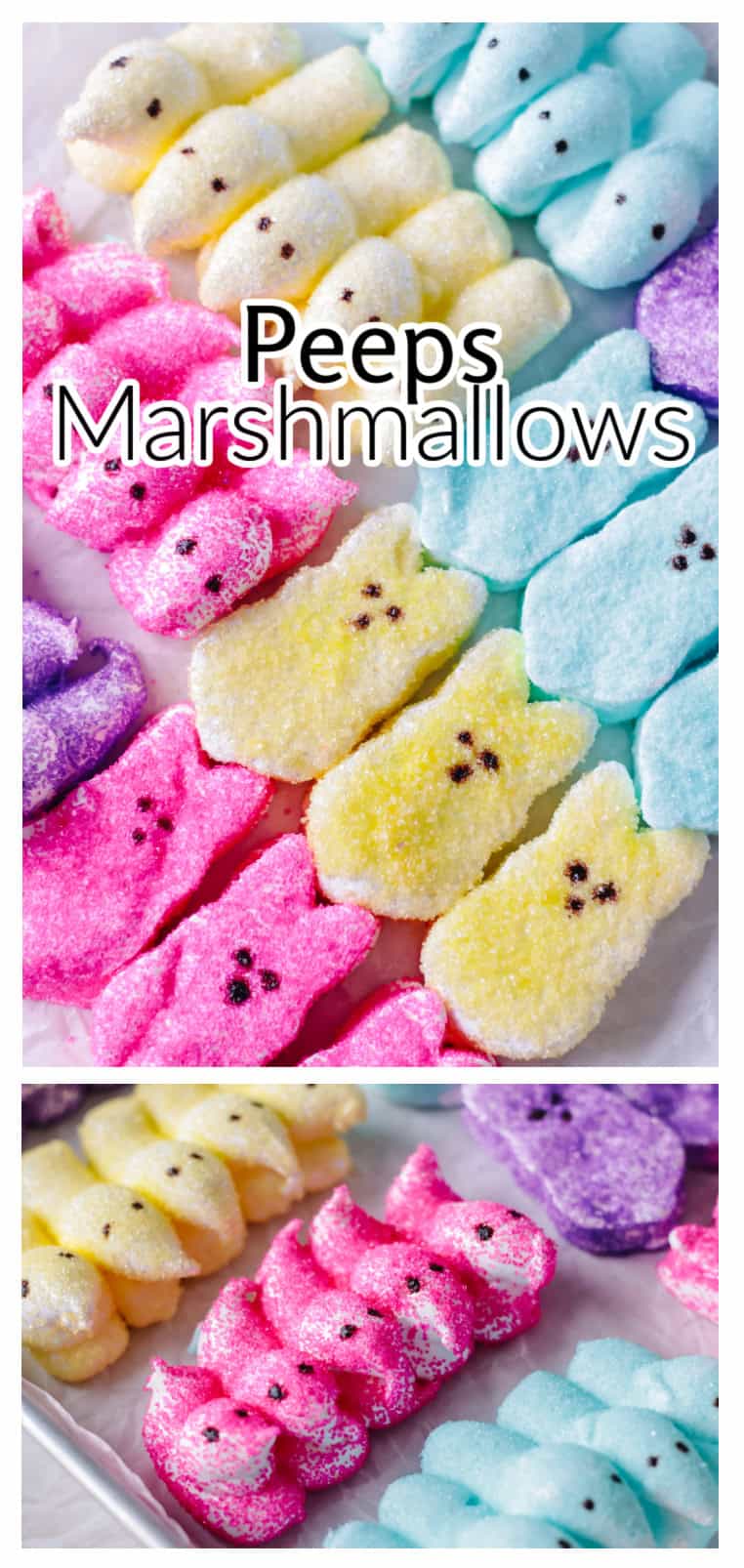 Homemade Marshmallow Peeps for Easter - Gluesticks Blog